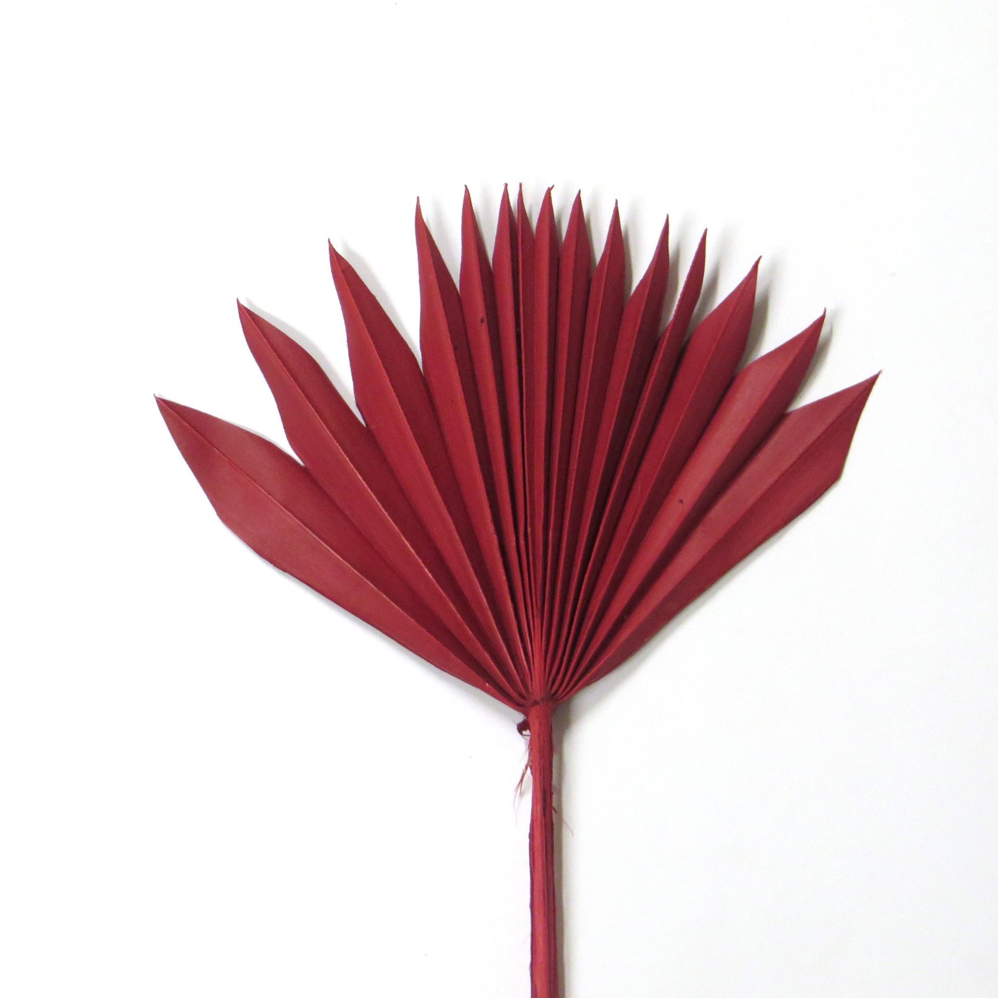 Palm sun spear small - barevný (10ks) | SPRING TIME s.r.o.